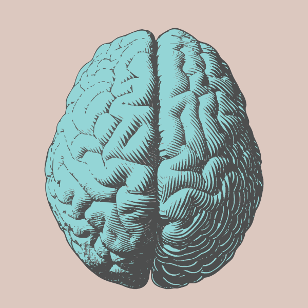 Understanding Cerebral Salt Wasting – Klaralyte